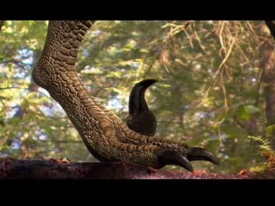 Image - Raptor Toe Claw.jpg - When Dinosaur Roamed America Wiki - Wikia