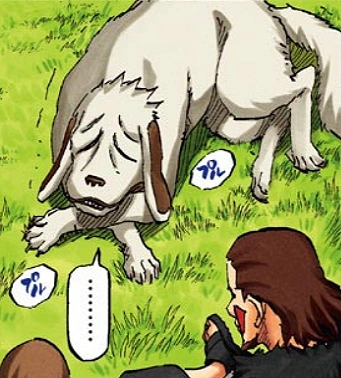 Akamaru - Narutopedia, the Naruto Encyclopedia Wiki