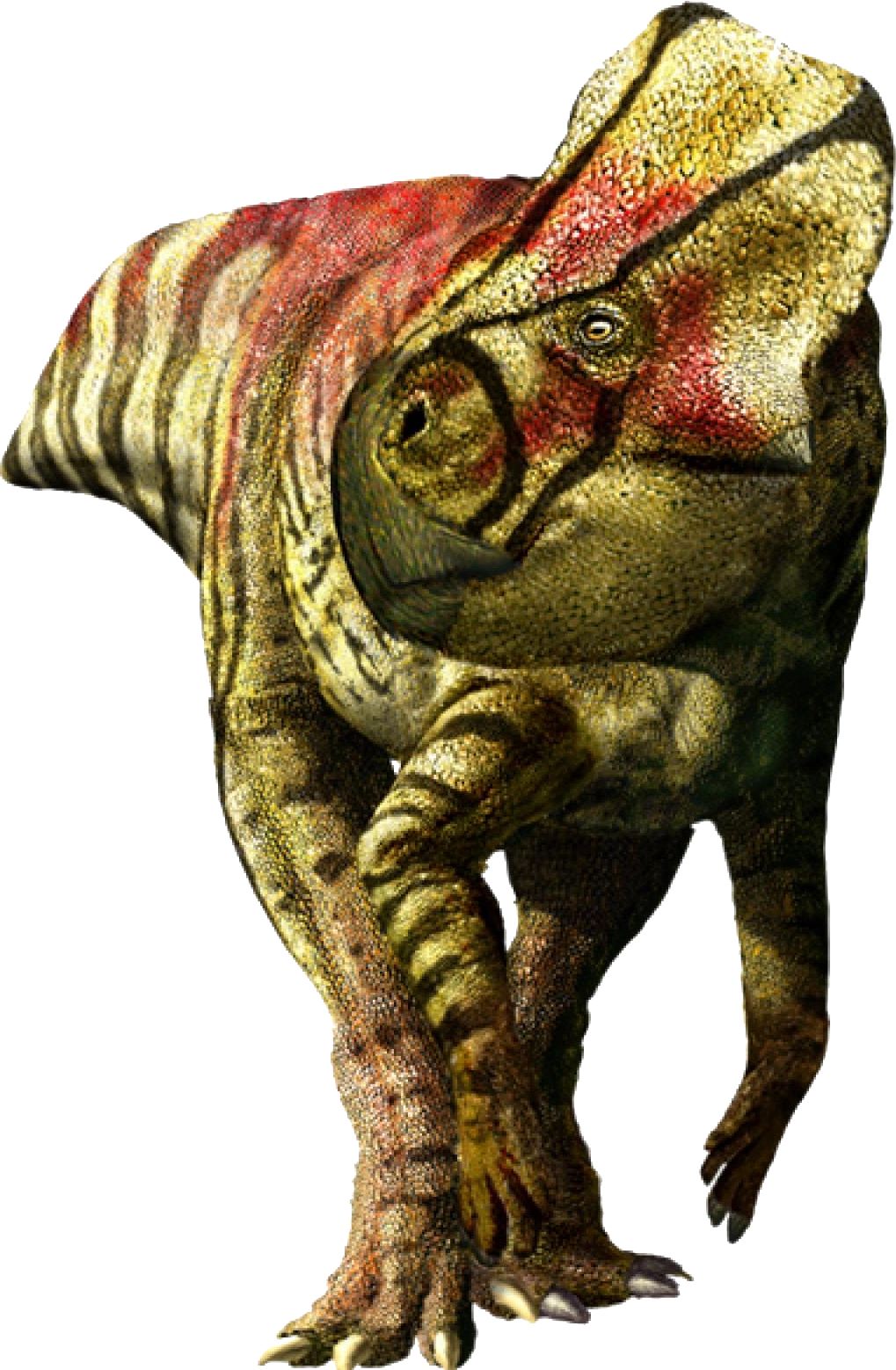 Jurassic World (2015) | Page 90 | TFW2005 - The 2005 Boards