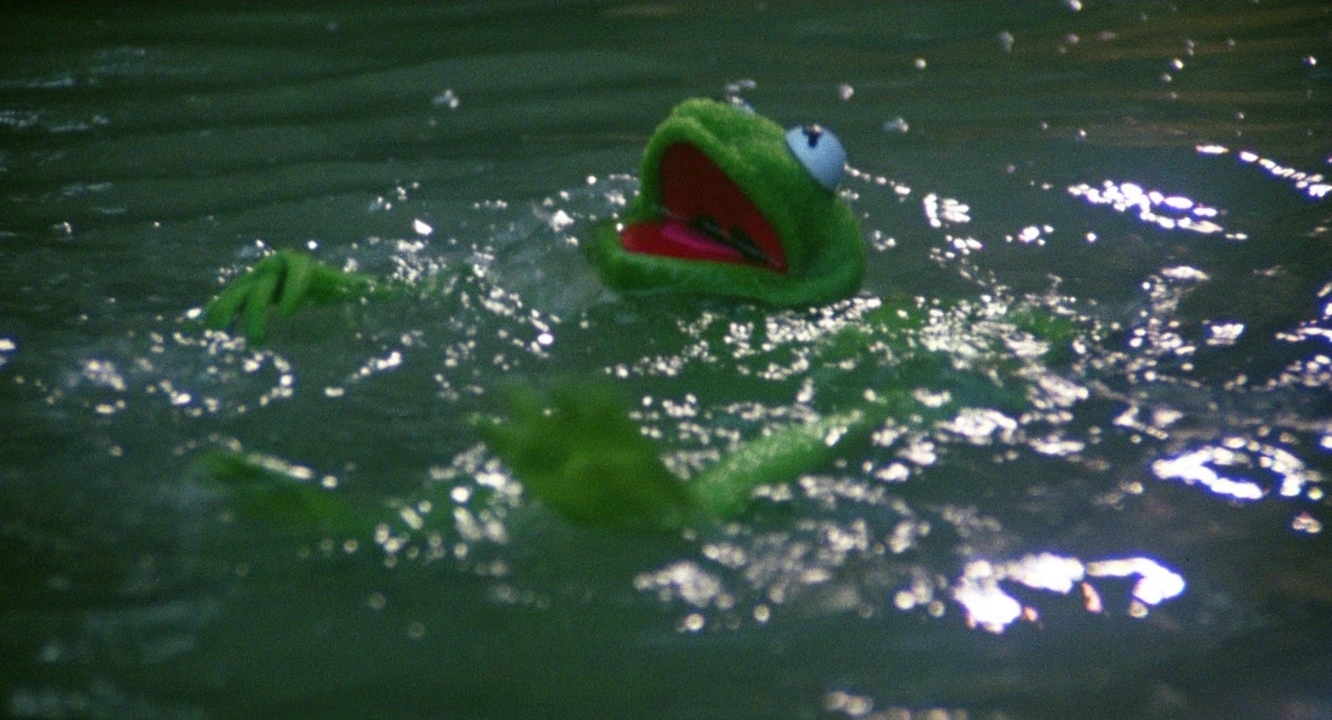 Muppets in water - Muppet Wiki