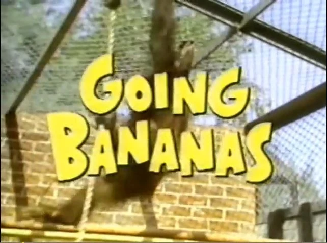 Going Bananas - Logopedia, the logo and branding site